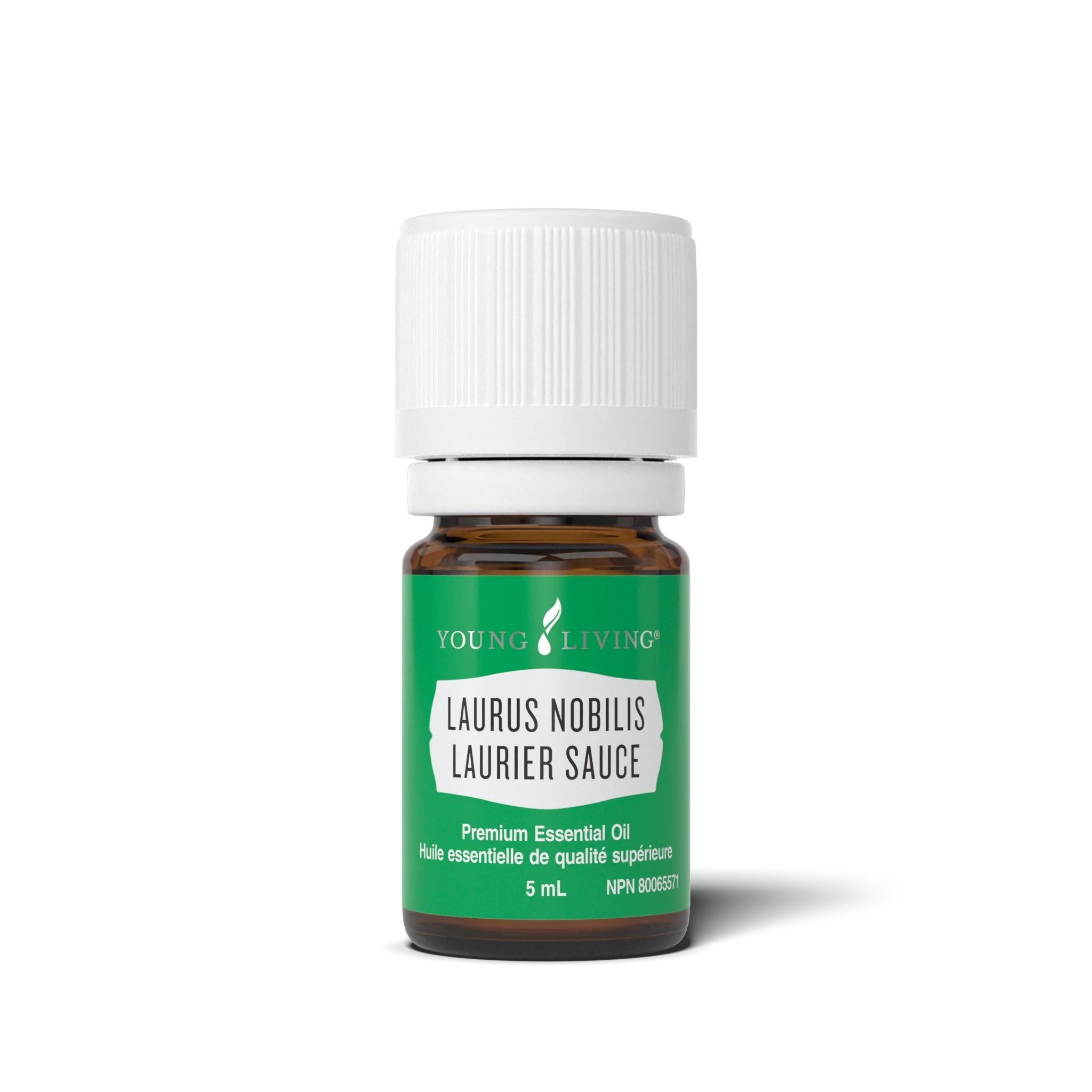 Laurus Nobilis Essential Oil – Young Living Canada